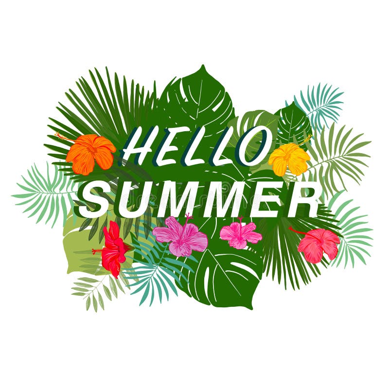 Hello Summer Letters with Abstract Slice of Watermelon Vector ...