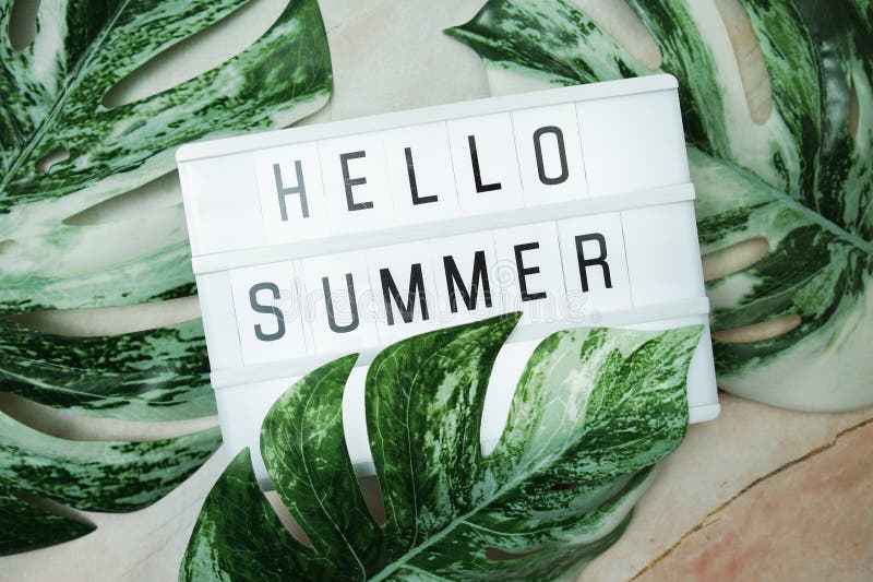 Hello Summer Word in Lightbox with Monstera Leaves on Marble Background ...