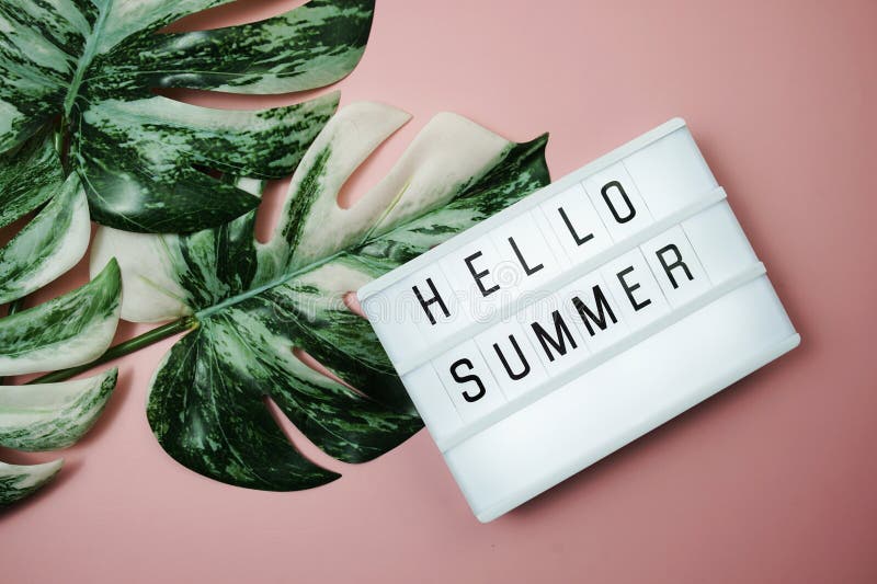 Hello Summer Word Lightbox Monstera Leaves Pink Background Stock Photos ...