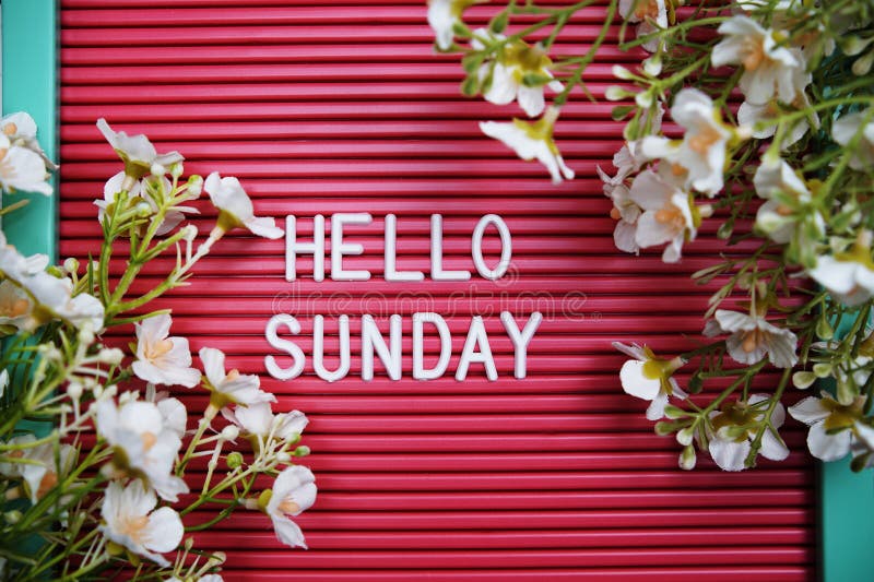 Hello Sunday Text on Letter Board with Flower Decoration Stock Image ...