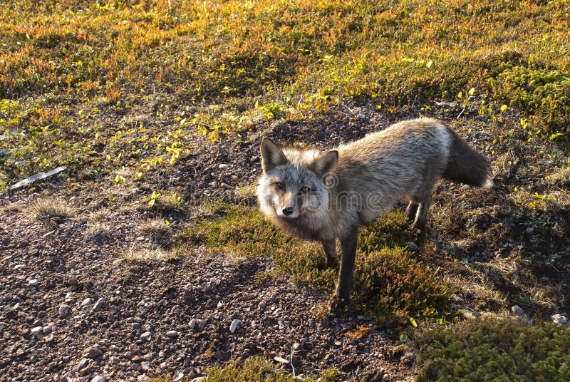 Hello There stock image. Image of cape, hills, colorful - 12326197