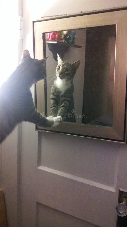 Hello There... stock photo. Image of thor, hello, checking - 139601308