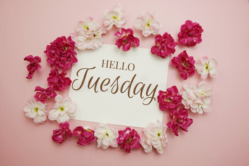 Hello Tuesday Card Typography Text with Flower Bouquet on Pink ...
