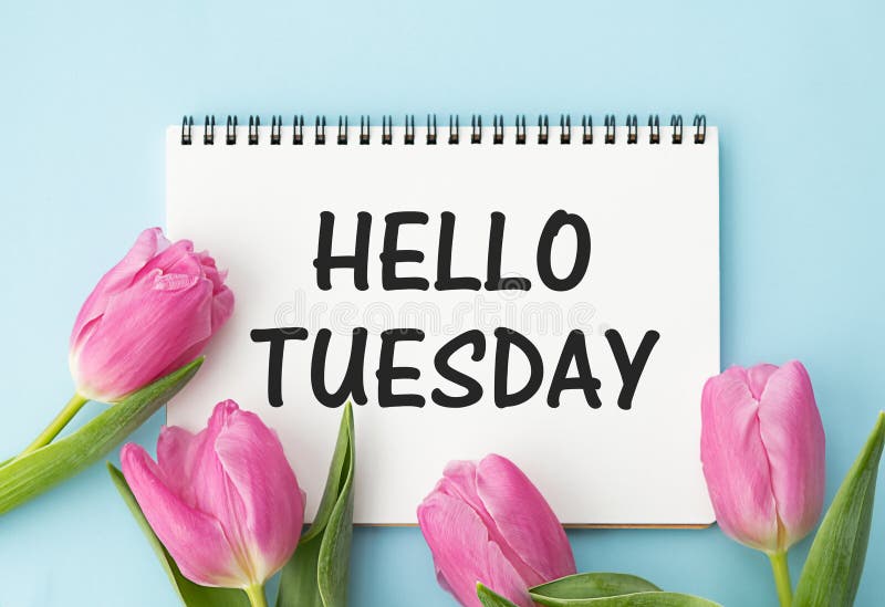 184 Happy Tuesday Spring Images Stock Photos - Free & Royalty-Free ...