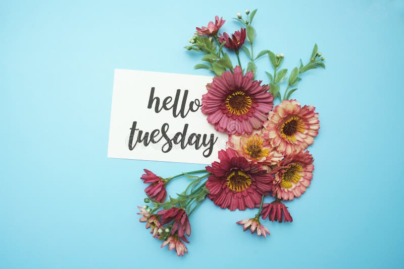 184 Happy Tuesday Spring Images Stock Photos - Free & Royalty-Free ...