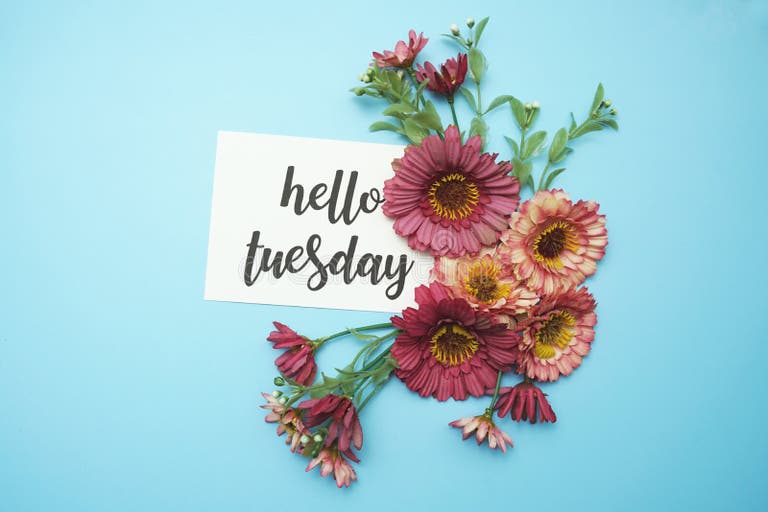184 Happy Tuesday Spring Images Stock Photos - Free & Royalty-Free ...