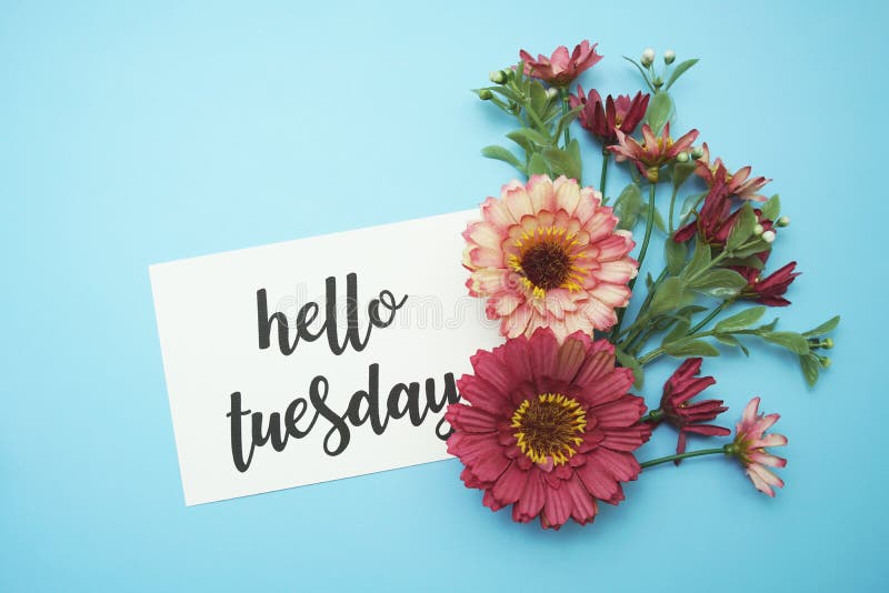 867 Tuesday Flowers Stock Photos - Free & Royalty-Free Stock Photos ...
