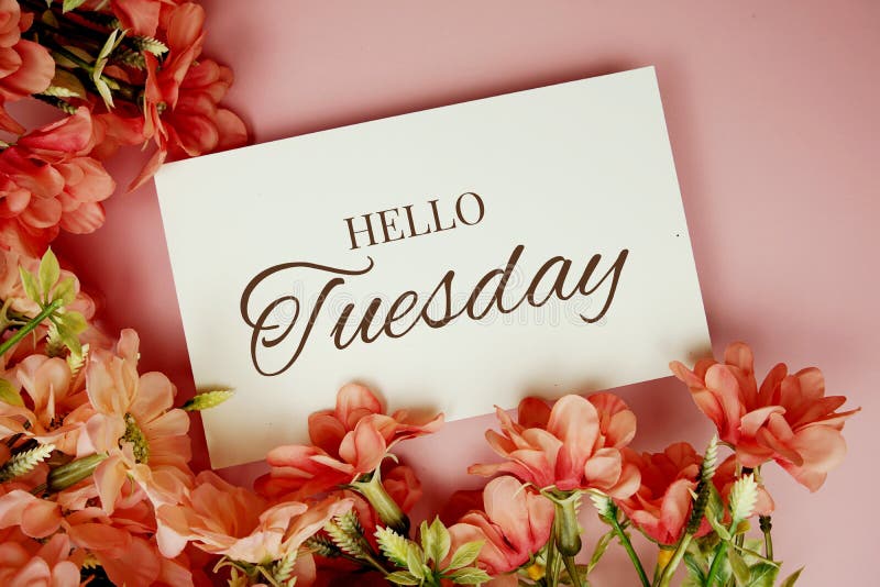 852 Tuesday Flowers Stock Photos - Free & Royalty-Free Stock Photos ...