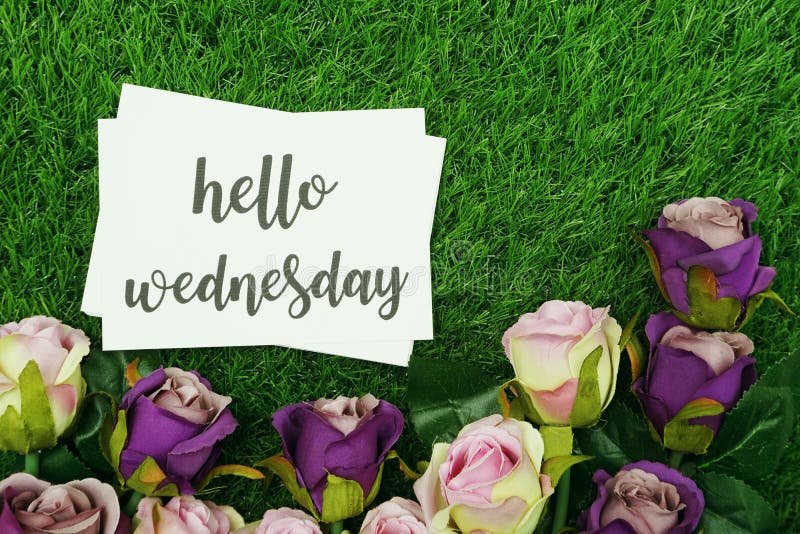 Hello Wednesday Typography Text with Flowers Frame on Pink Background ...