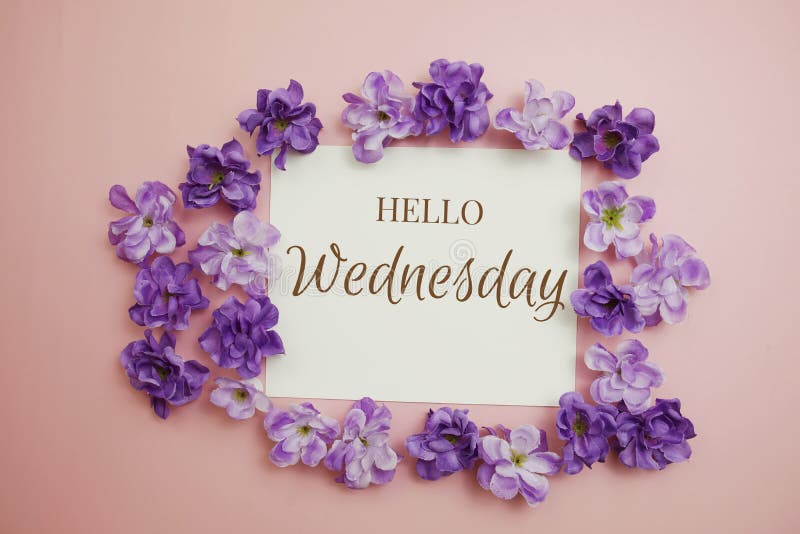 Hello Wednesday Card Typography Text with Flower Bouquet on Pink ...