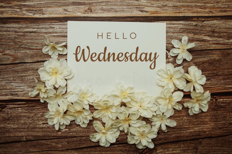 Hello Wednesday Card Typography Text with Flower Bouquet on Pink ...