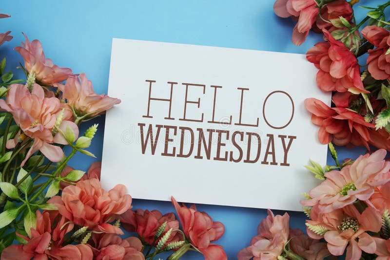 Hello Wednesday Text with Pink Flower Frame on Blue Background Stock ...
