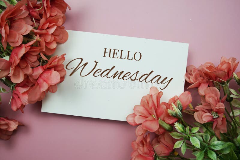 313 Happy Wednesday Work Images Stock Photos - Free & Royalty-Free ...