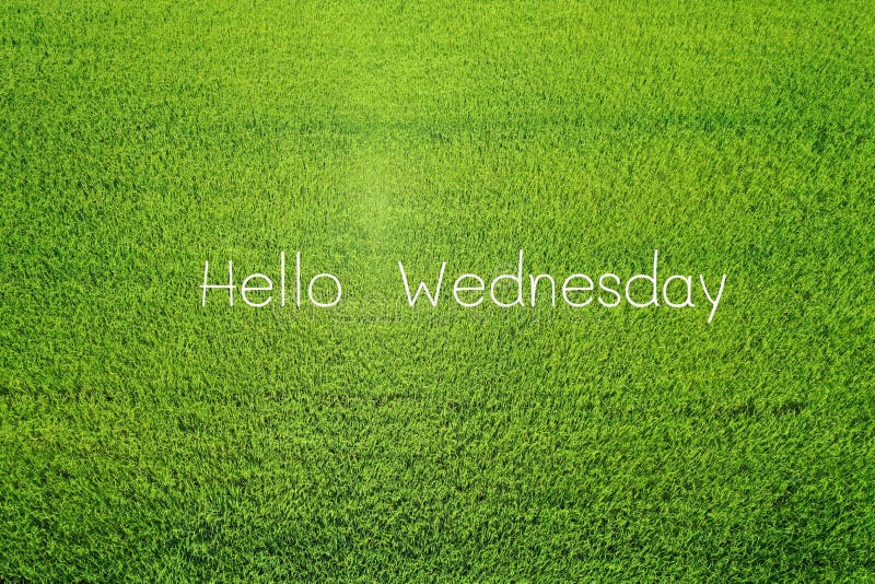 313 Happy Wednesday Work Images Stock Photos - Free & Royalty-Free ...