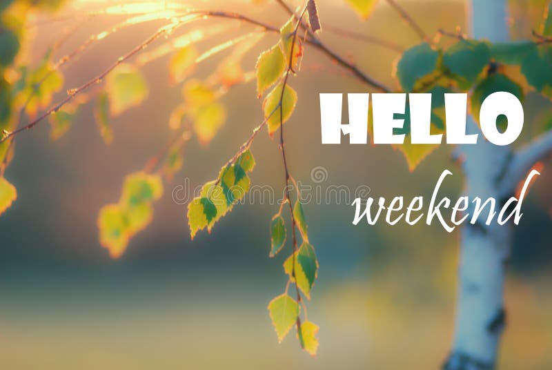 Hello weekend stock photo. Image of blurred, high, elegant - 85145168