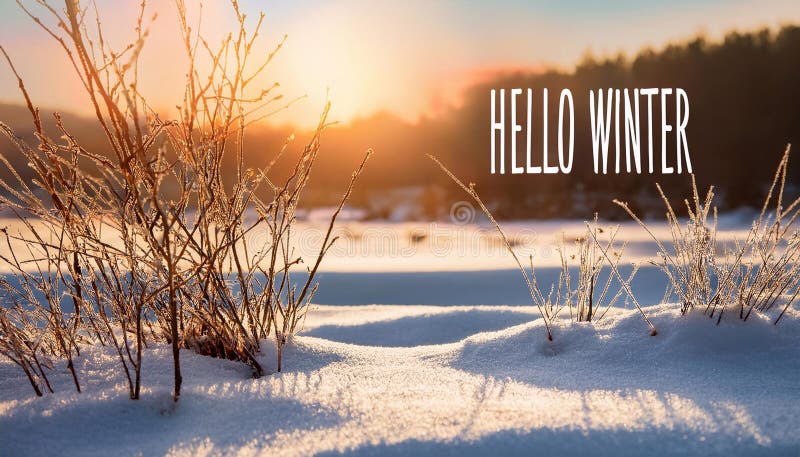 Hello Winter Poster Design stock illustration. Illustration of winter ...