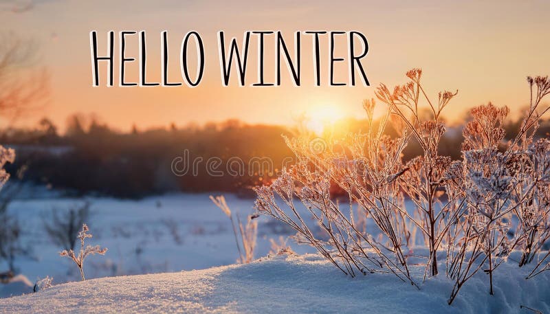 Hello Winter Poster Design stock illustration. Illustration of ...