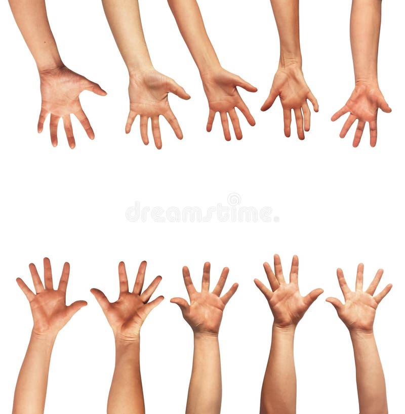 Help stock photo. Image of support, strong, respect, deal - 2255842