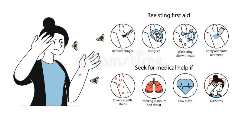 Help Bee Sting First Aid Vector Linear Stock Vector - Illustration of ...