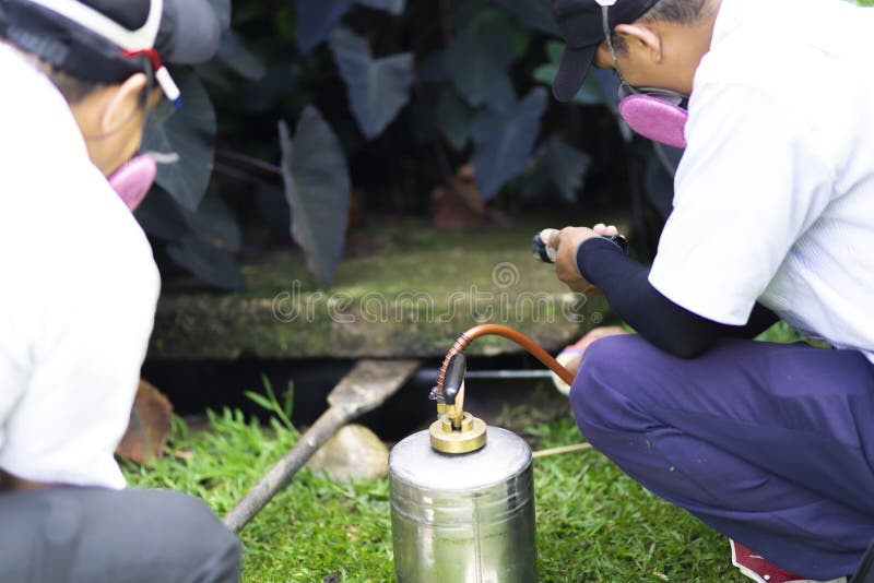 Treatment, Pest Control, Fumigation Outdoors Editorial Photography ...