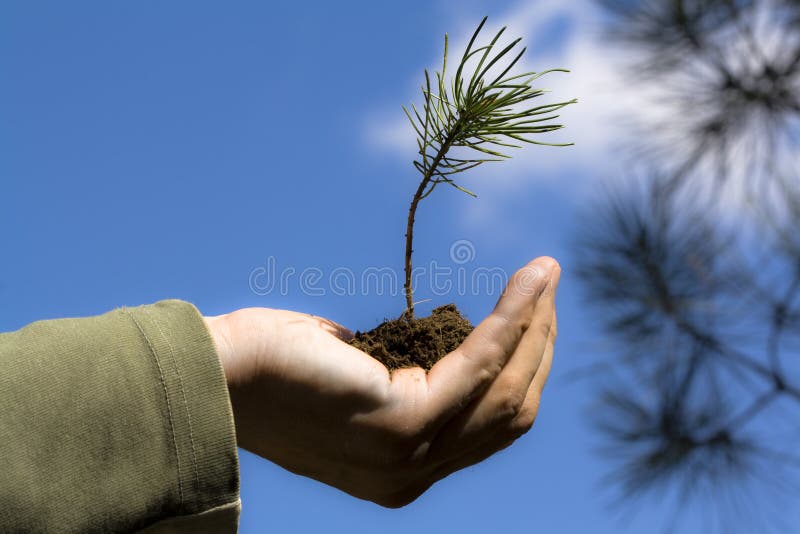 Help nature stock photo. Image of environmental, conservation - 18596250