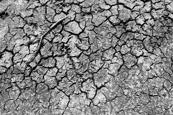 Help nature stock image. Image of arid, cracked, environment - 33348287