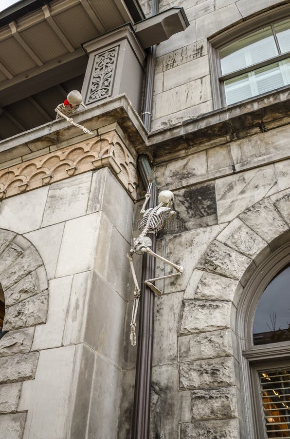 A Helping Hand stock image. Image of assist, leaning - 71059799