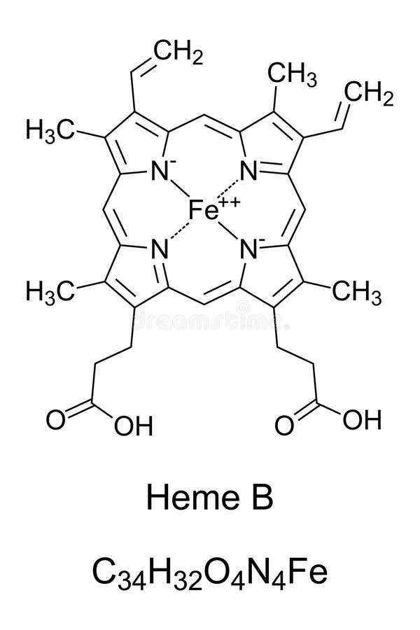 Heme B, Haem B, or Protoheme IX, Chemical Formula and Structure Stock ...