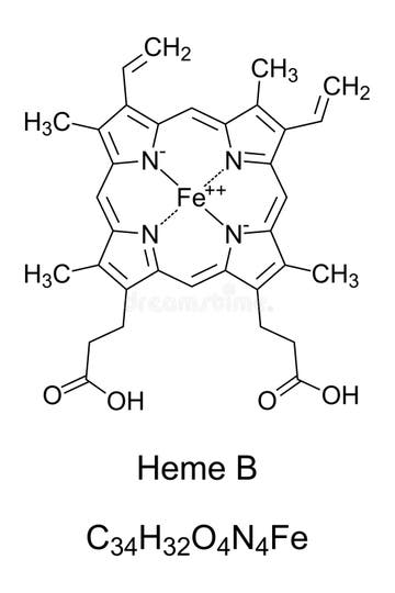 Heme B, Haem B, or Protoheme IX, Chemical Formula and Structure Stock ...