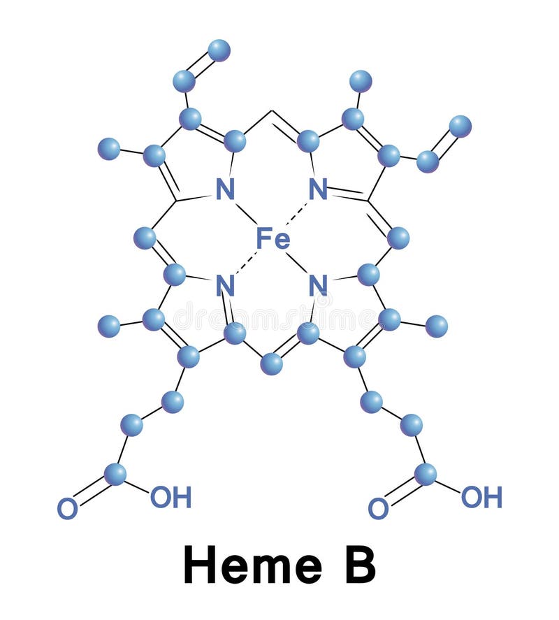Formule de Heme illustration de vecteur. Illustration du protéine ...