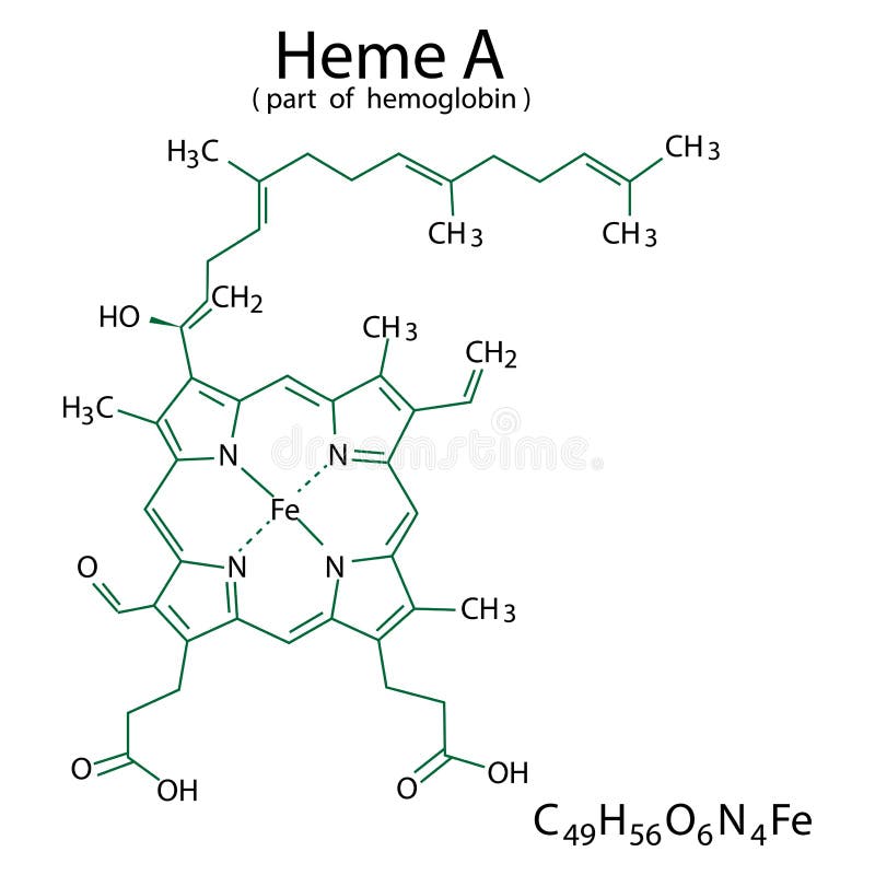 Heme a Chemical Formula. Organic Compound. Part of Hemoglobin ...