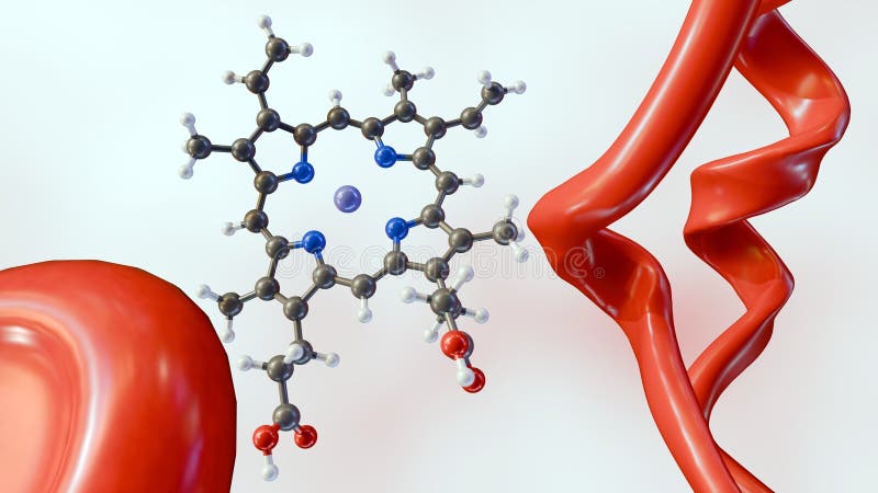 Heme Molecule, Protein Structure and Red Blood Cells. Stock ...
