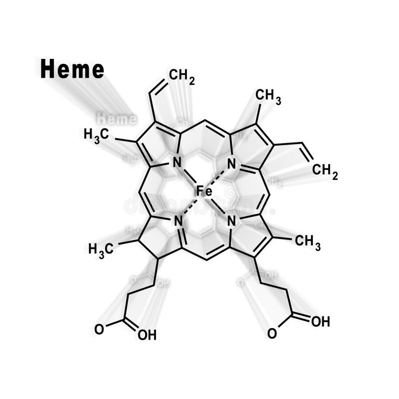 Heme Molecule Structural Chemical Formula Stock Illustration ...