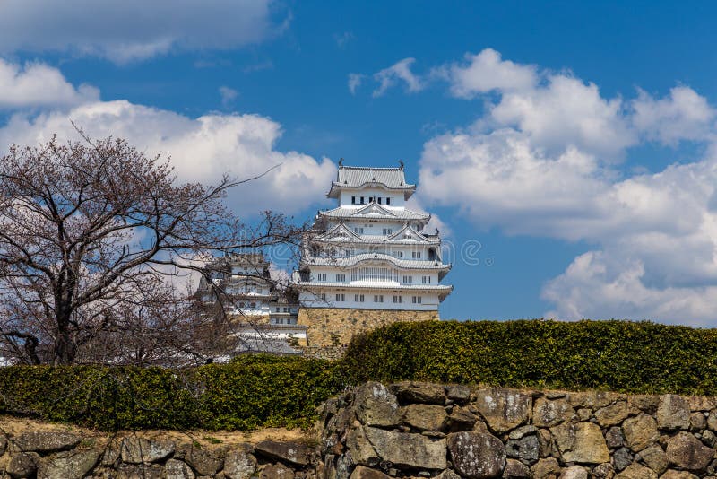 Hemeji Castle in Spring with Pink Sakura, Kansai, Japan Stock Image ...