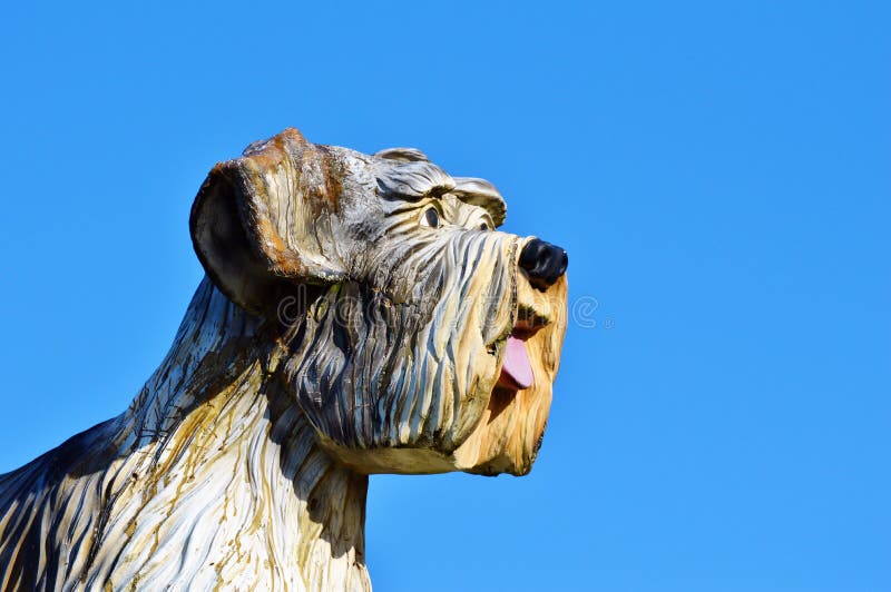 Hemel, Snuit, Hond Zoals Zoogdier, Boom Stock Foto - Image of boom ...