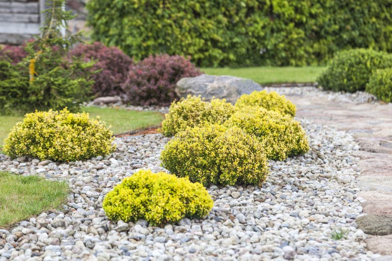 Hemispherical Shrubs in Landscaping. Countryside Stock Image - Image of ...
