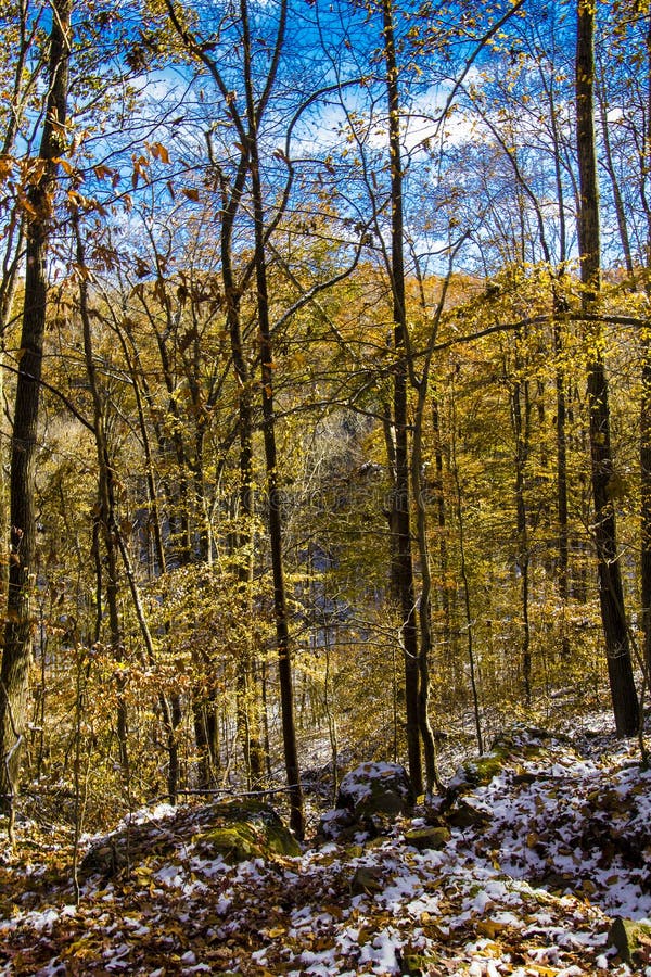 View of Hemlock Cliffs in Autumn after a Light Snow, Indiana Stock ...
