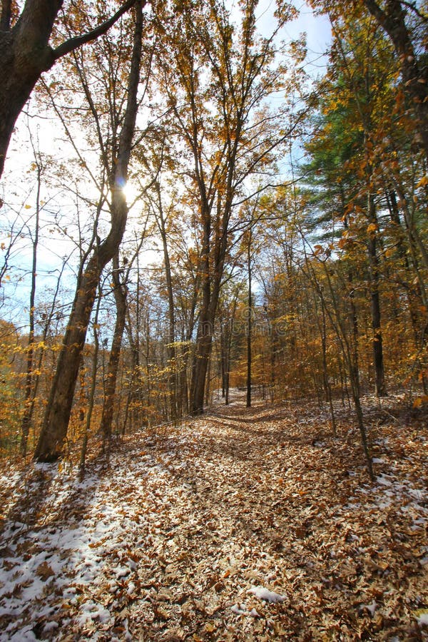 View of Hemlock Cliffs in Autumn after a Light Snow, Indiana Stock ...