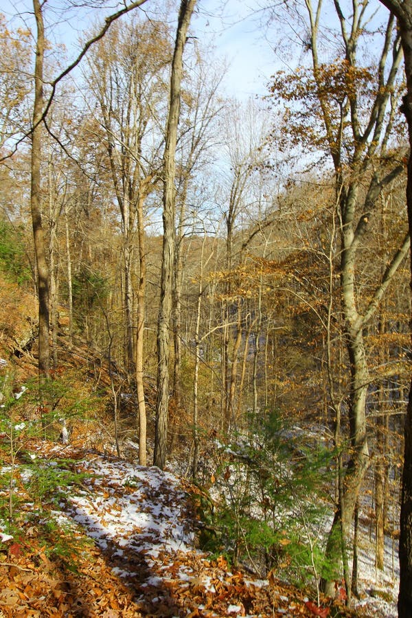 View of Hemlock Cliffs in Autumn after a Light Snow, Indiana Stock ...