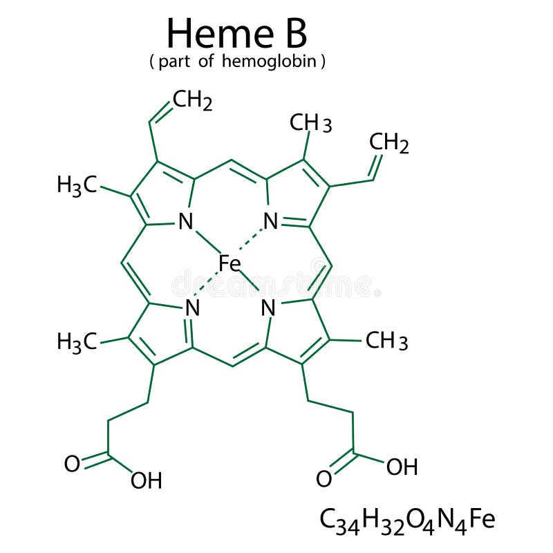 Hemoglobin B Chemical Formula. Cell of Blood. Molecular Structure ...