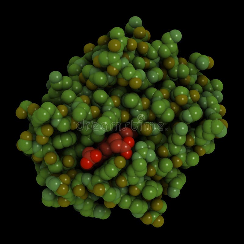 Hemoglobin molecule stock illustration. Illustration of molecular - 4788052
