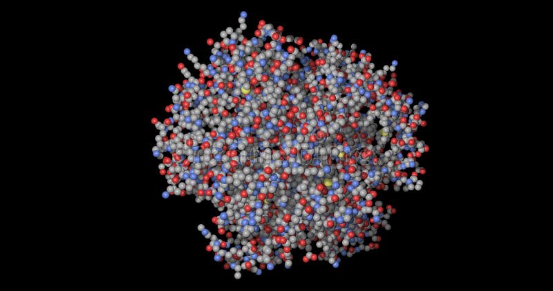 Hemoglobin Molecule . View 1 . 3d Rendering Illustration Stock ...