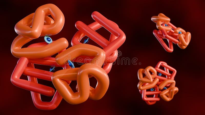 Hemoglobin Structure Composed of Four Subunits Containing a Heme Group ...