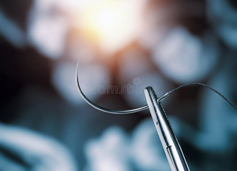 Hemostatic Forceps Holding Half Circle Cutting Needle and Suture in ...