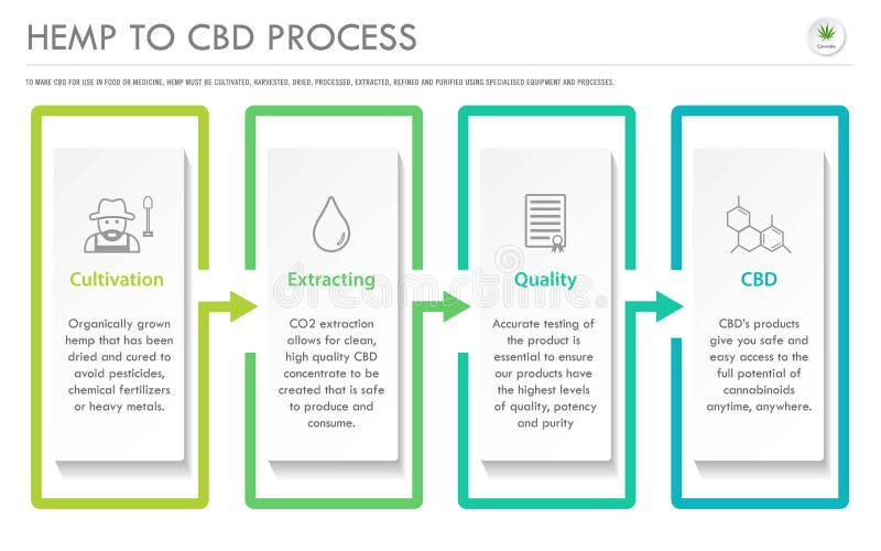 Hemp Al CBD Process InfografÃ­a Empresarial Horizontal Foto de archivo ...