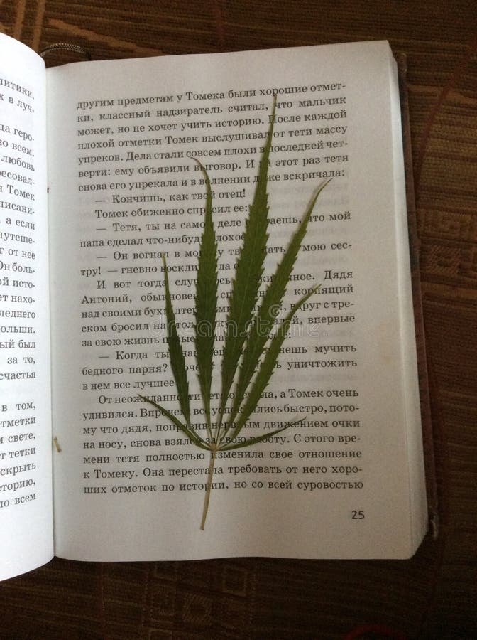 Hemp Book Pages Stock Photos - Free & Royalty-Free Stock Photos from ...