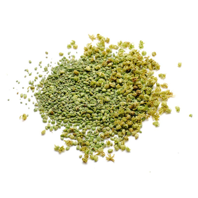 Hemp buds stock image. Image of hemp, isolated, addiction - 15444305