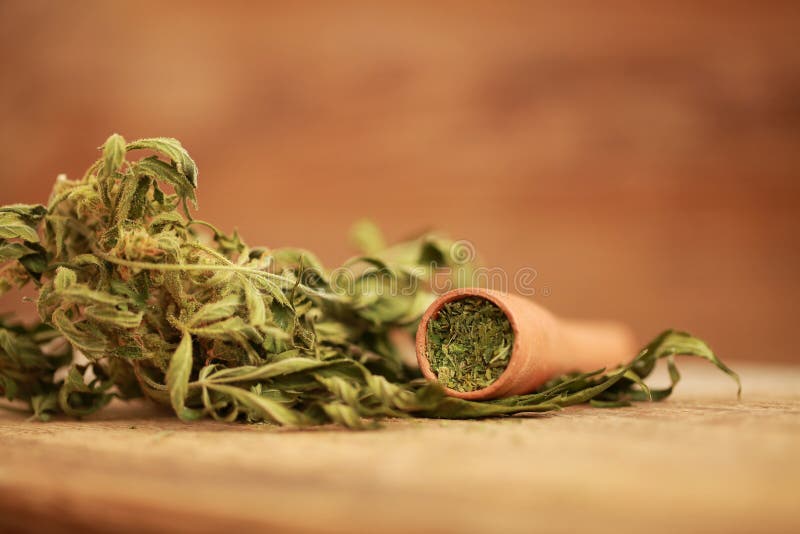 Hemp Cannabis and Smoking Pipe in India Stock Image - Image of smoke ...