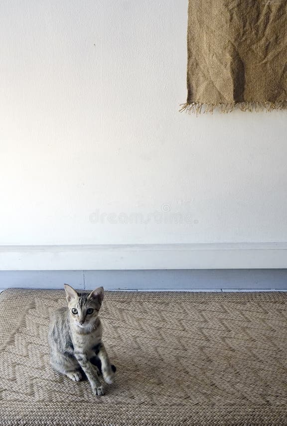 Hemp Fabric on a White Wall, Texture Background Stock Image - Image of ...