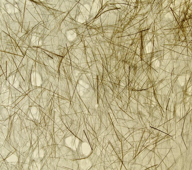 Hemp fiber paper stock photo. Image of design, graphic - 53129372